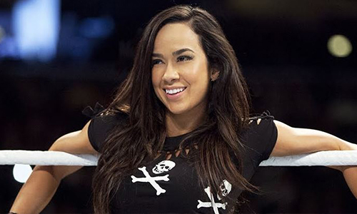 Aj Lee - Hobbies, Religion, and Political Views